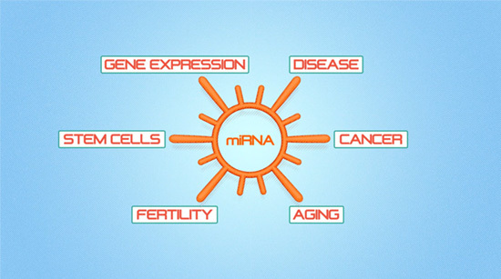 Example Explainer Video for MIRXES | Piehole TV